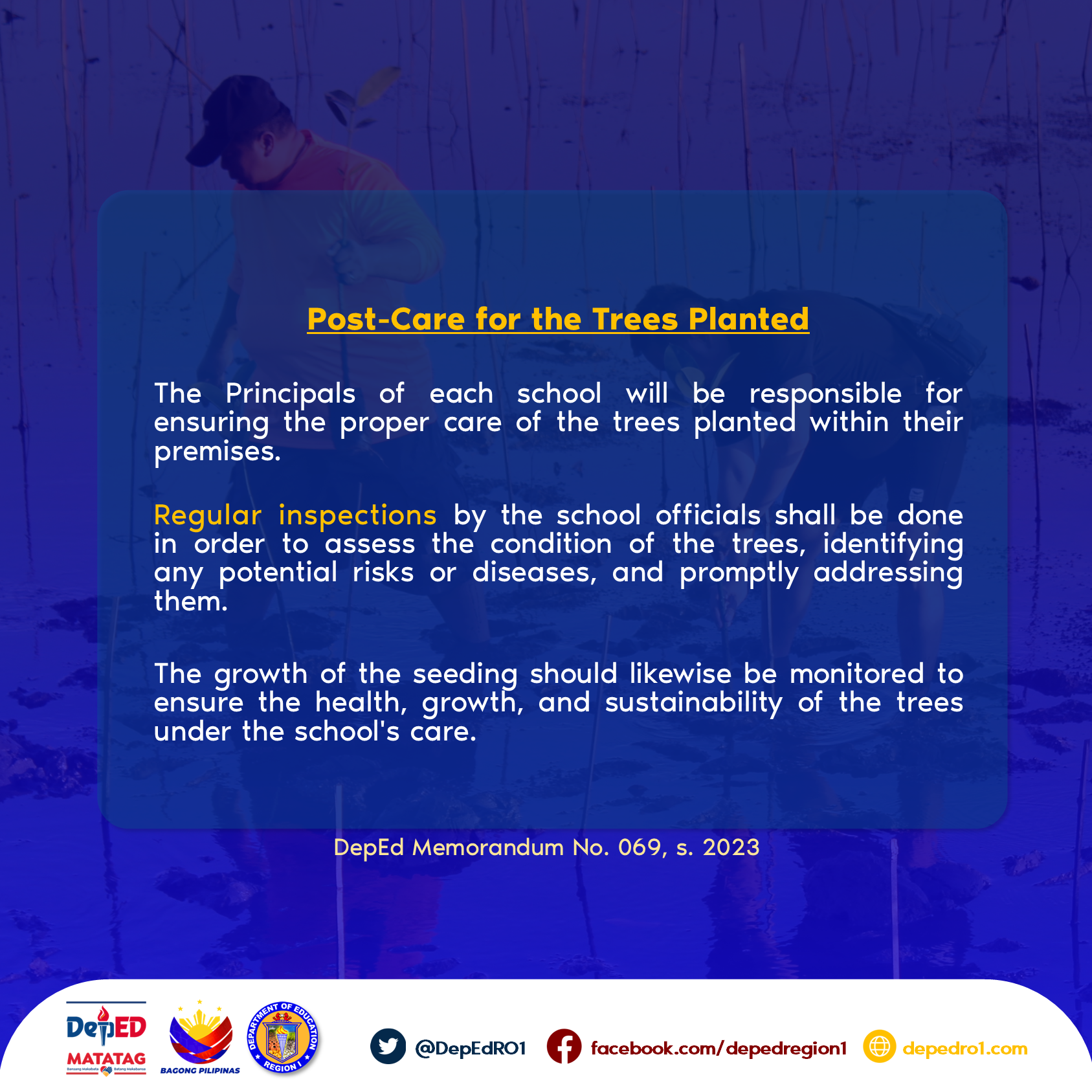 7_DepEd 236000 Trees | DepEd RO1
